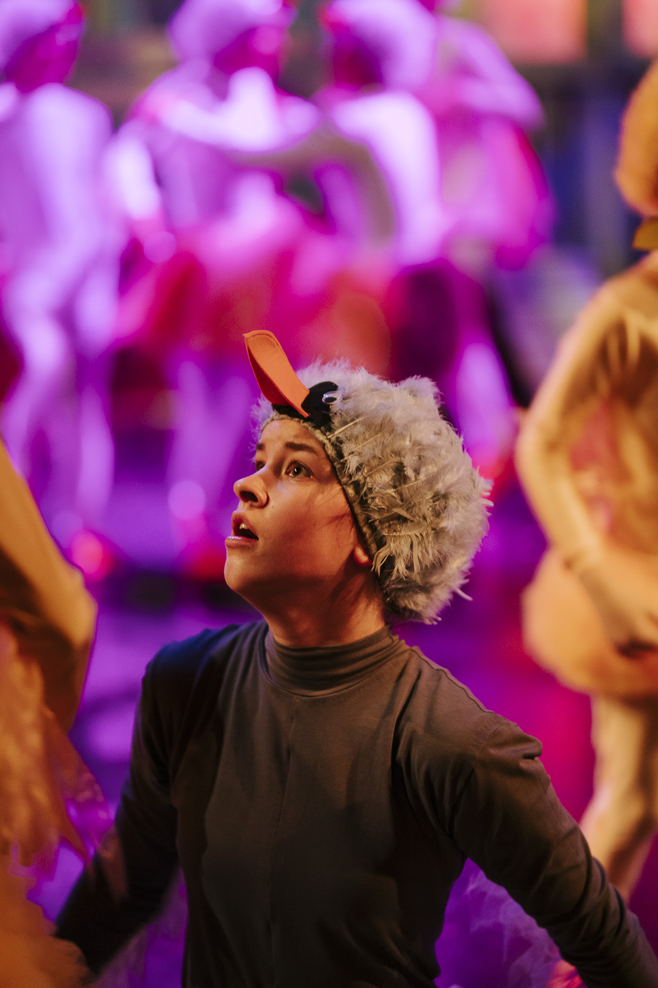 RUŽNO PAČE - Istarsko narodno kazalište